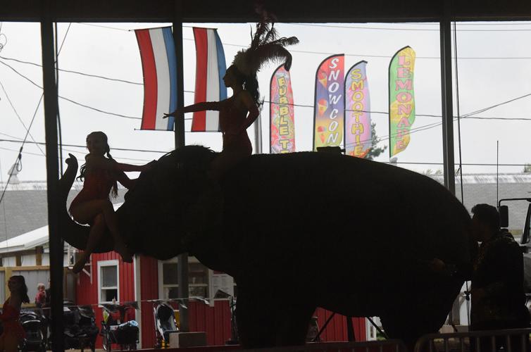 Acrobats, elephants dazzle audiences at Berrien County Youth Fair ...