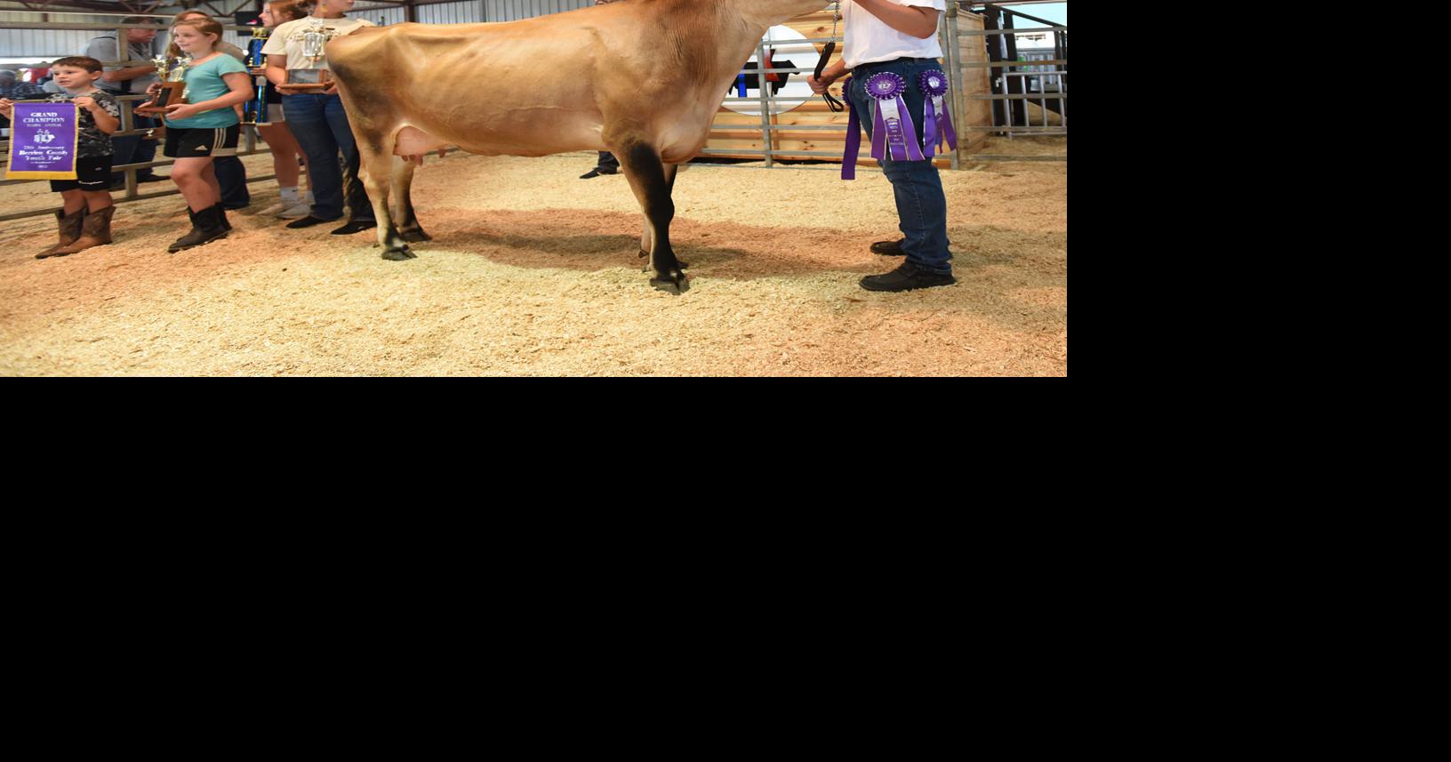 A thirsty afternoon at the Berrien County Youth Fair | Berrien Springs ...
