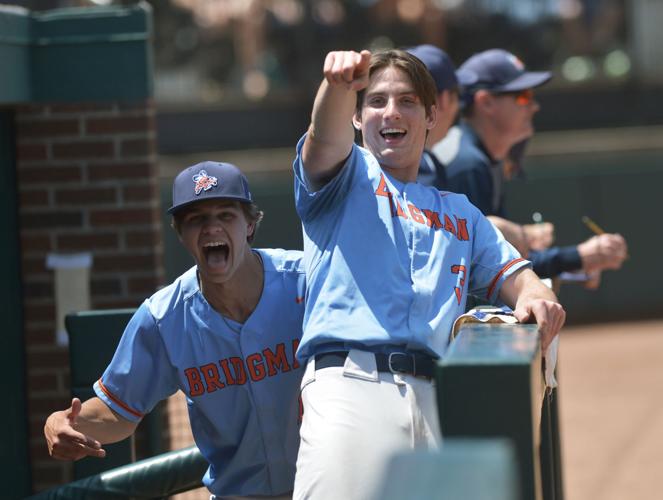 Bridgman stuns top-ranked Algonac to win Division 3 state baseball ...