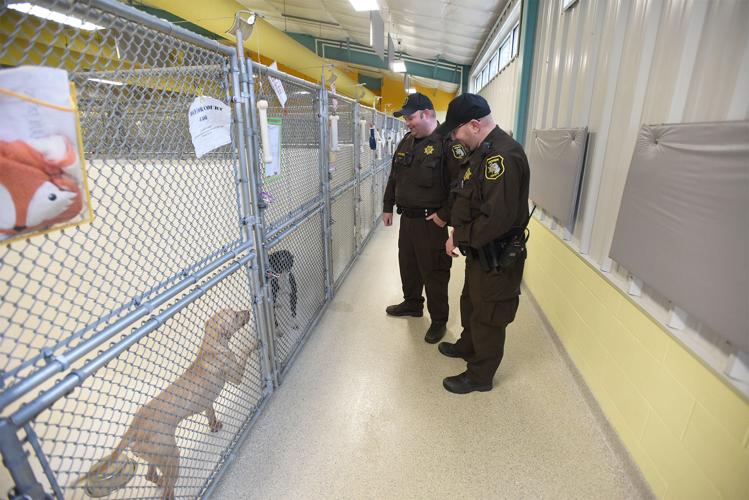 A day in the life of a Berrien County Animal Control deputy | News ...