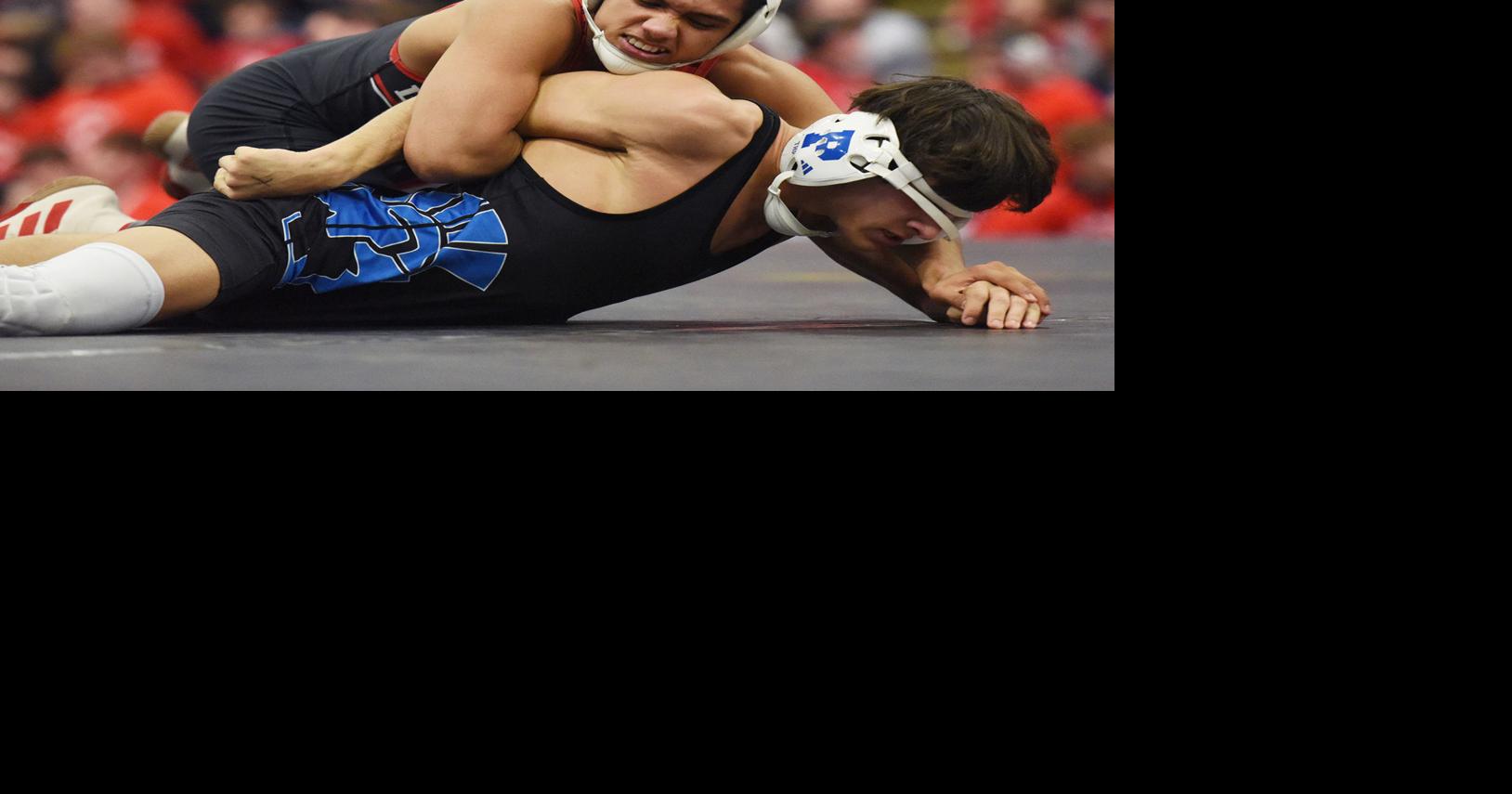 Lakeshore's Lucio leads area wrestlers vying for individual state ...