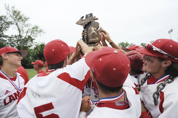 Lakeshore baseball state title tops 2017 in sports | Local News ...