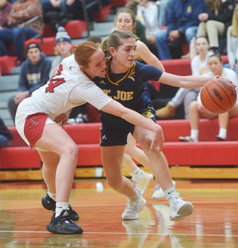 Lakeshore wins low-scoring struggle over rival St. Joseph | Sports ...