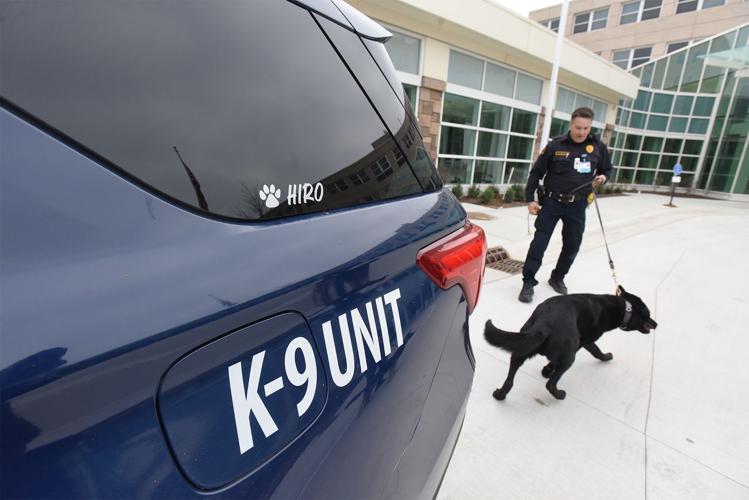Corewell Health security dogs stay on guard for explosives detection ...