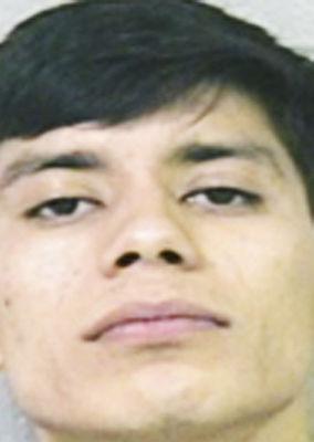 Accused killer Alex Perez found incompetent to stand trial | Local News ...