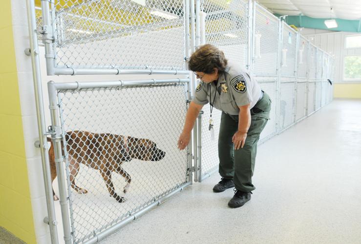 Animal (open) house | Local News | heraldpalladium.com