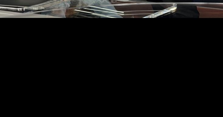 Lydia Holt as WGN’s Friday Forecaster | News | herscherpilot.com