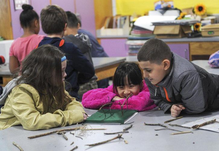 A THANKSGIVING LESSON | Local News | hgazette.com