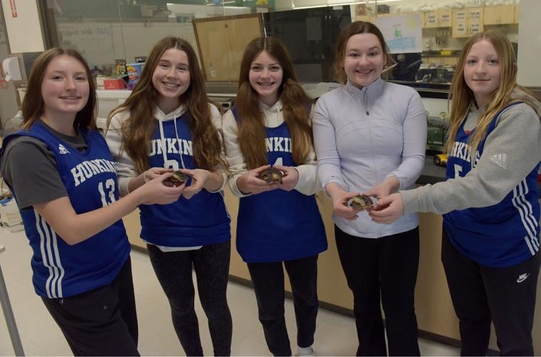 Haverhill students raise baby Blanding's turtles | Education | hgazette.com