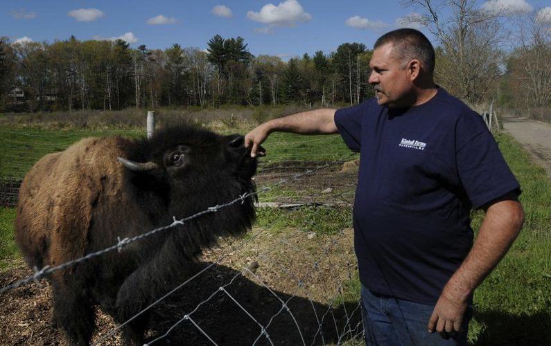 Kimball Farm evolves | 2016 Progress | hgazette.com