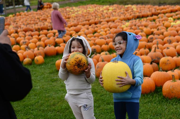 A fall festival of color | Local News | hgazette.com