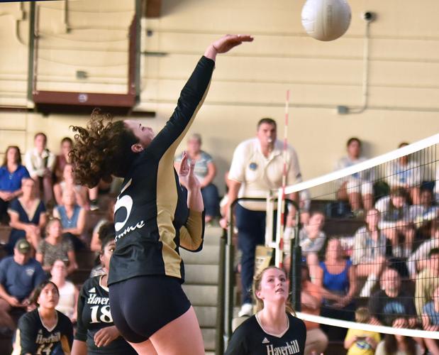 Spotlight: Hillies girls volleyball | Local News | hgazette.com