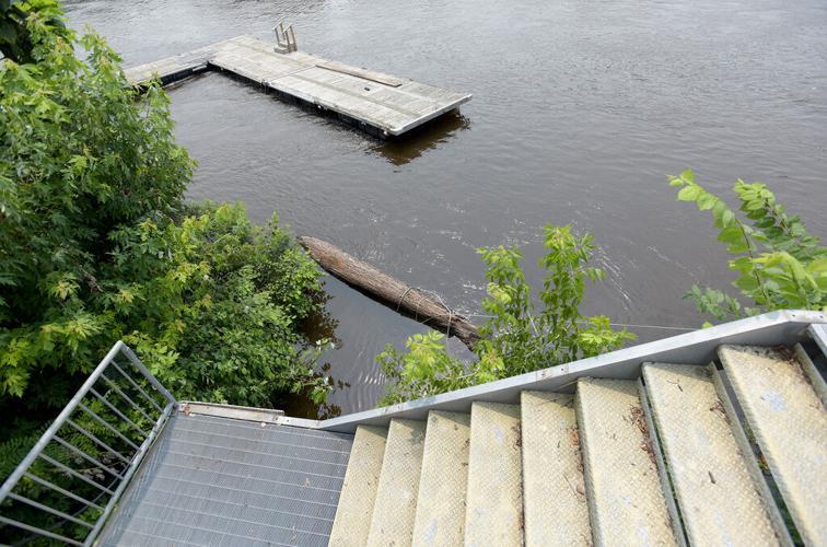 Floating tree crashes into gangways at city docks | Local News ...