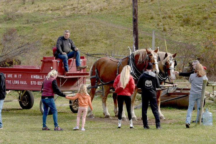 Final weekend of cornfield maze an eary event | Local News | hgazette.com