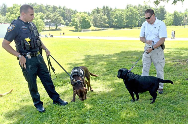 A comfortable fit: Sheriff brings police dogs, trainers, together for ...