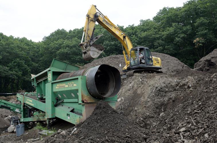 Amazon lawns: Record-breaking rainfall has a variety of effects | Local ...