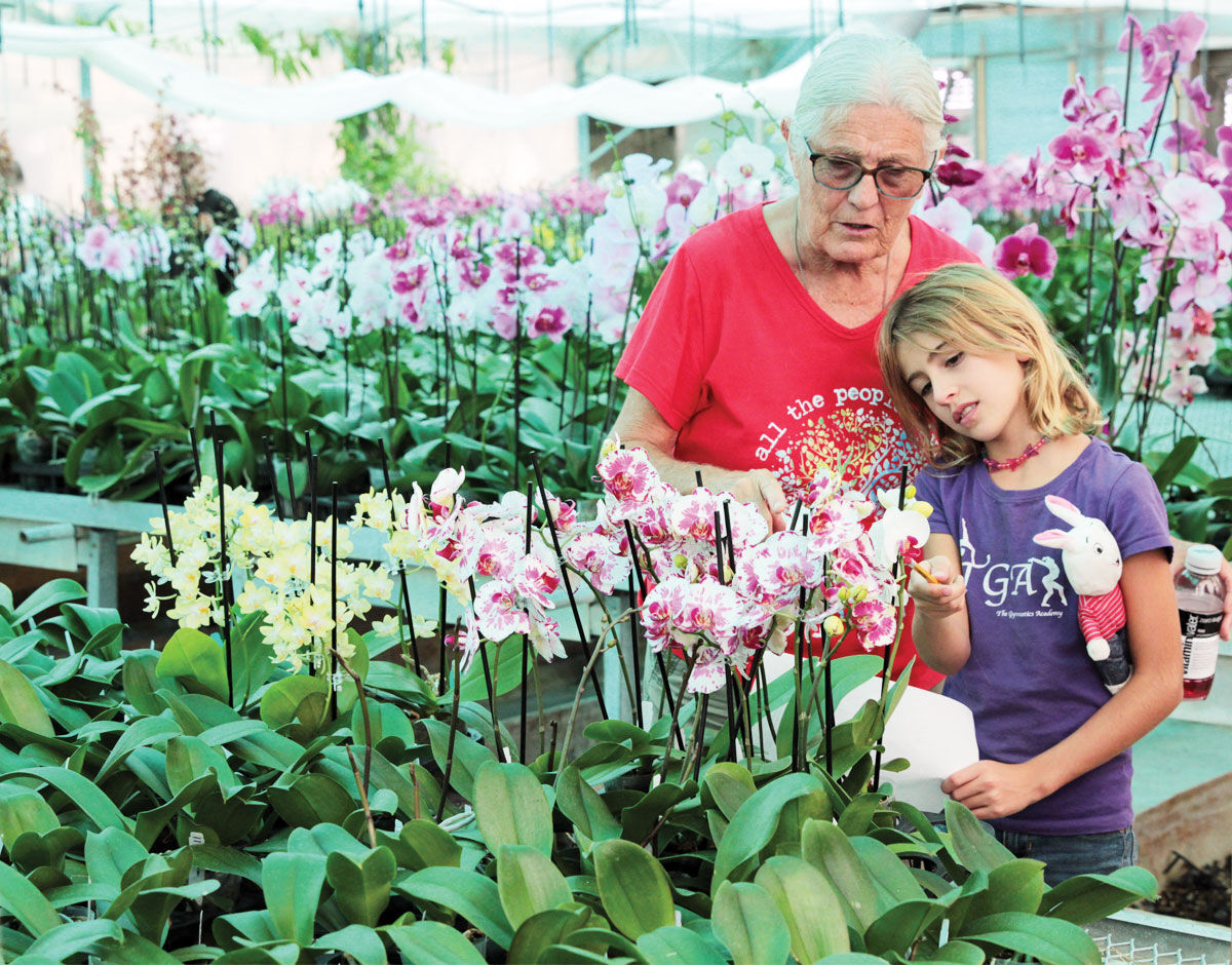Gublers to host 27th Orchid Festival | Desert Trail | hidesertstar.com