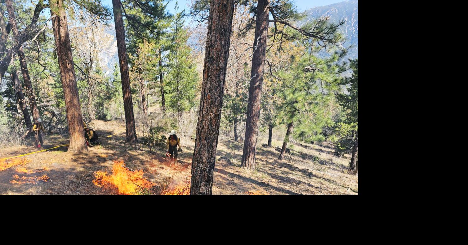 Two fires split crews in 29 Palms | Desert Trail | hidesertstar.com