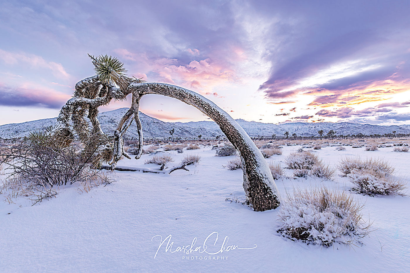 Photographer’s works promote peace at Hi-Desert Medical Center gallery ...
