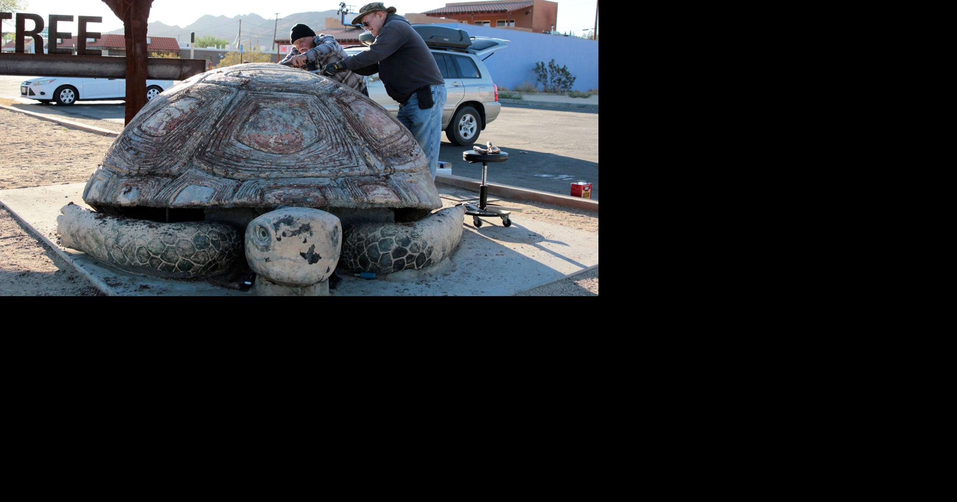 Myrtle the Turtle getting back to her roots | Desert Trail ...