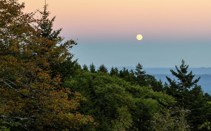 Grandfather Mountain annual Fall Colors Gallery begins | Hcnc ...