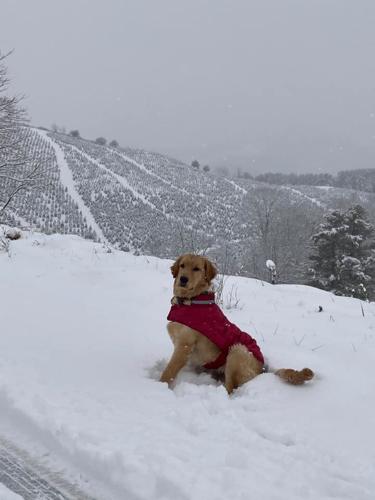 Outdoors fun is not off limits in the winter | Hcnc | highcountrync.com