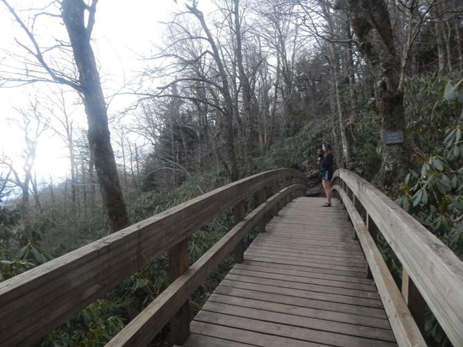 Rough Ridge boasts incredible photo op | Play | highcountrync.com