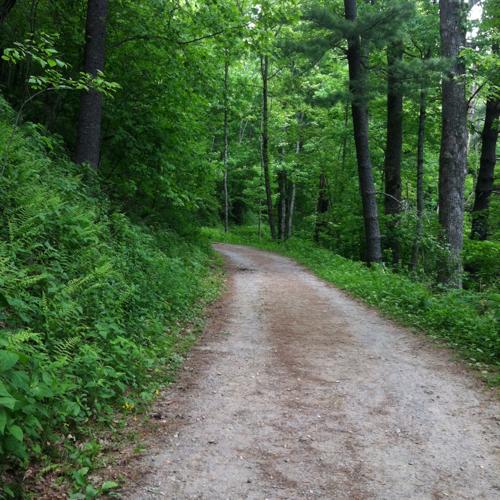 Moses Cone Park: Horseback Riding, Hiking and History | Play ...
