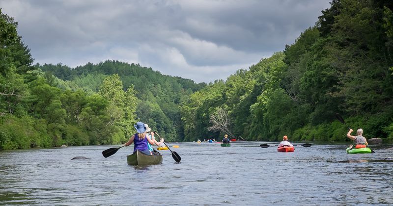 New River State Park acquires land to create new trails, campsites ...