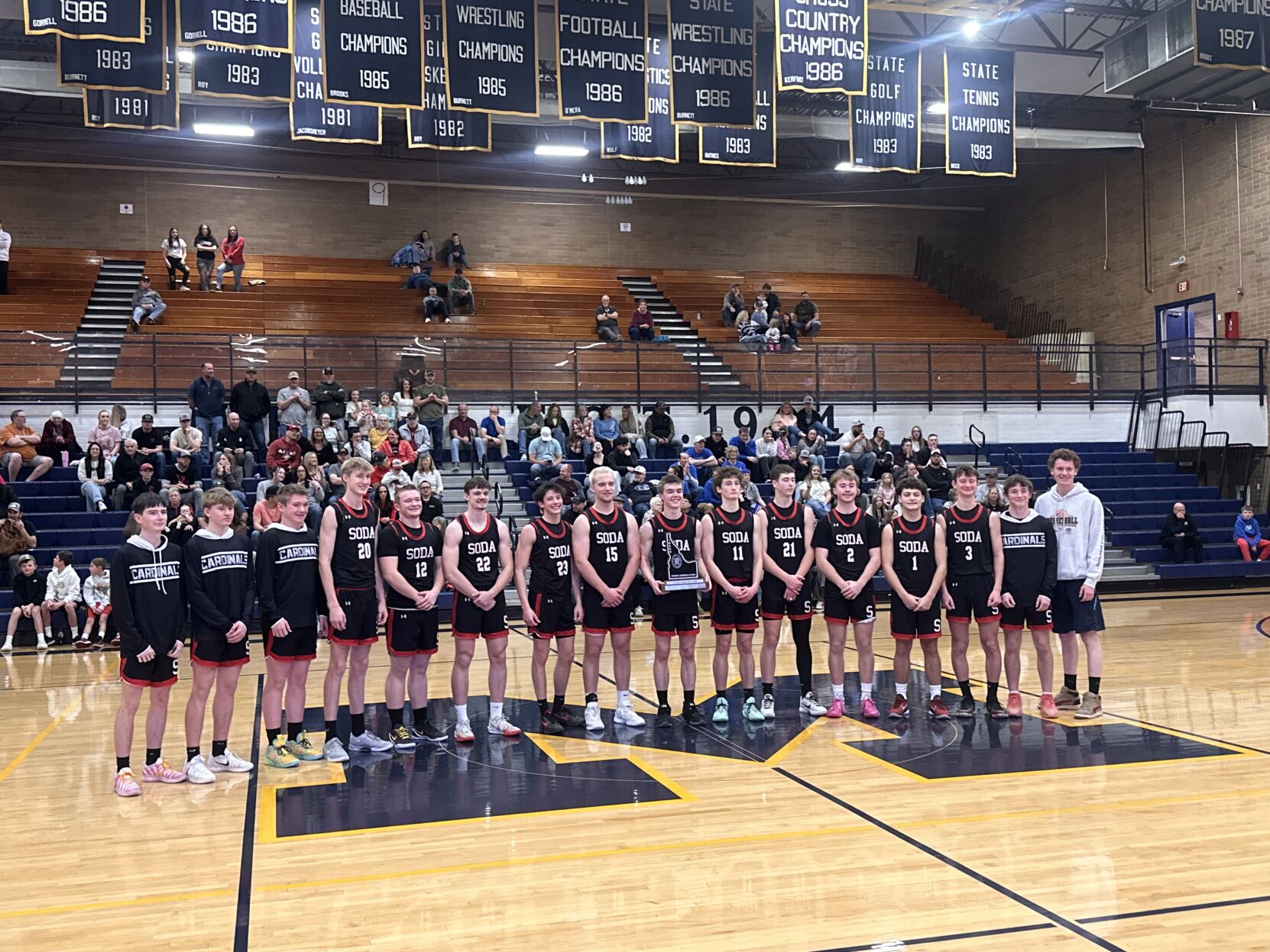 Cardinals bring home consolation trophy from state tournament | News ...
