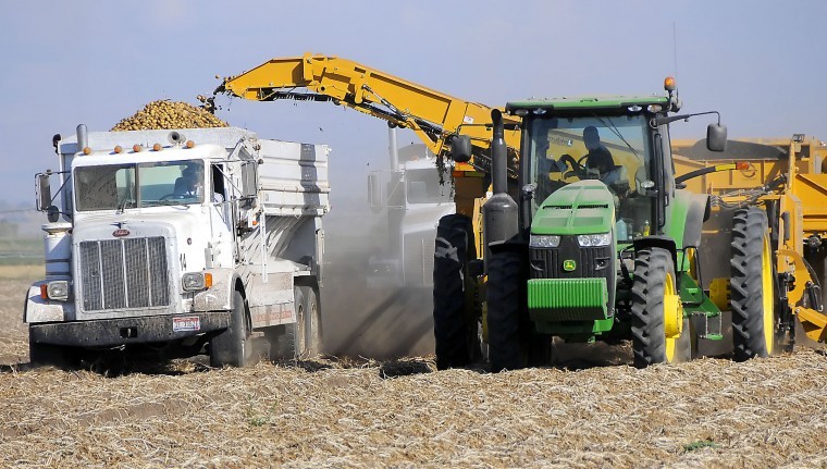 Cache Valley farmer exports seed potatoes across country | Allaccess ...
