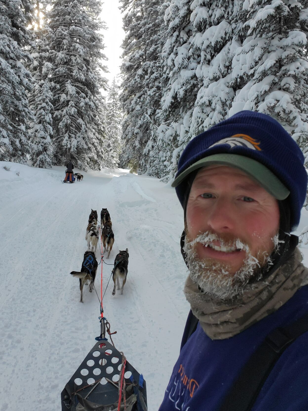 Preston man competes in Iditarod, despite recent injuries | Local News ...