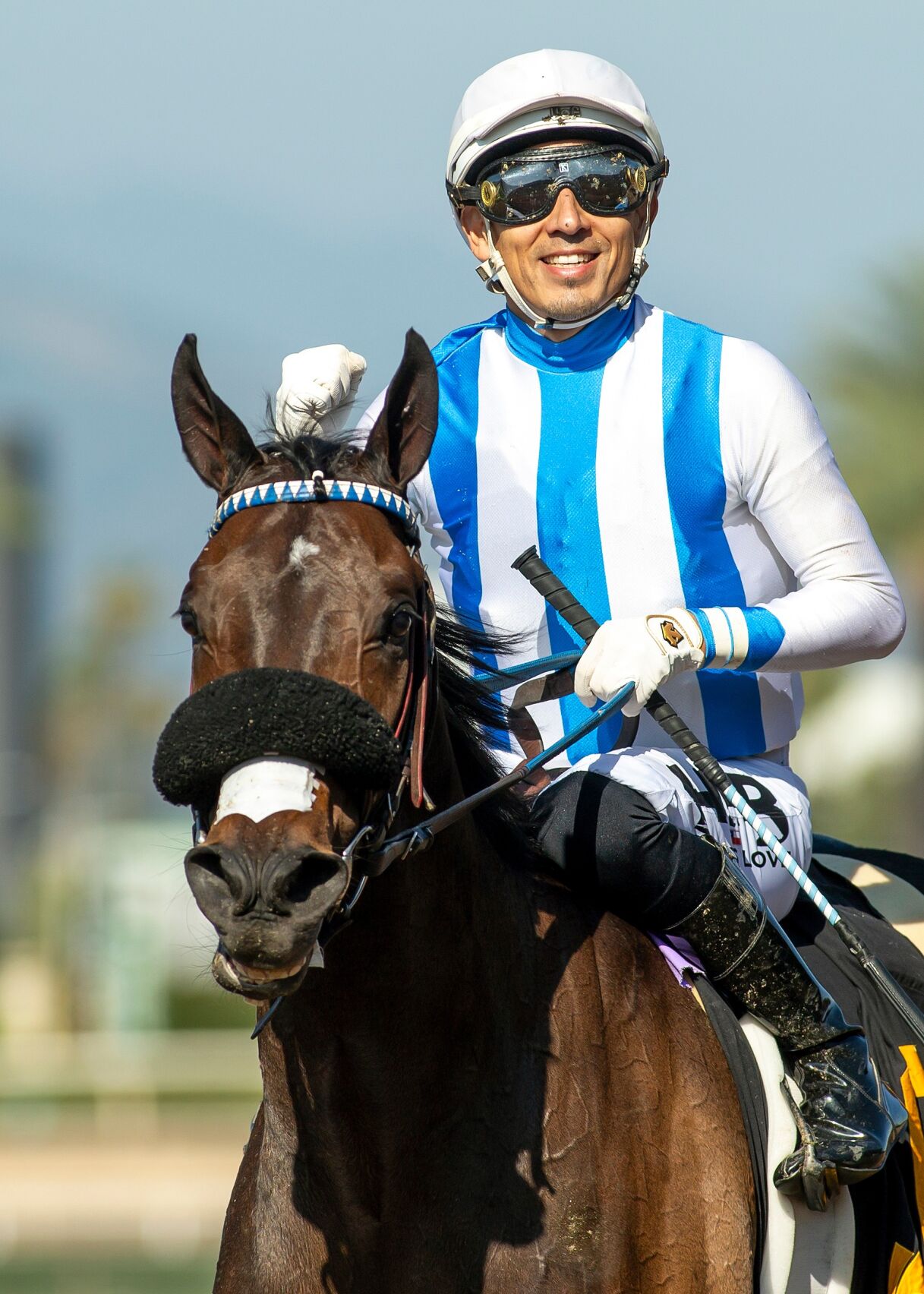 Santa Anita Horse Racing | National Sports | hjnews.com