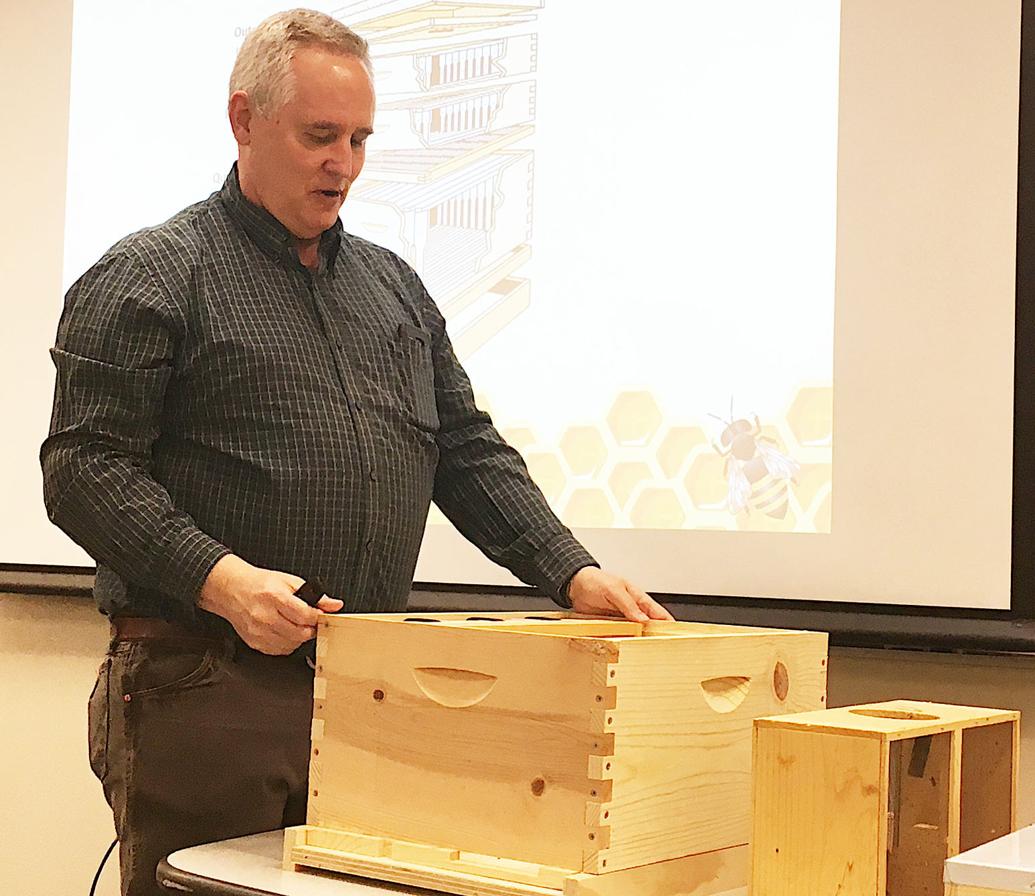 Bee-ginners: Local beekeepers give tips on starting out | Local News ...