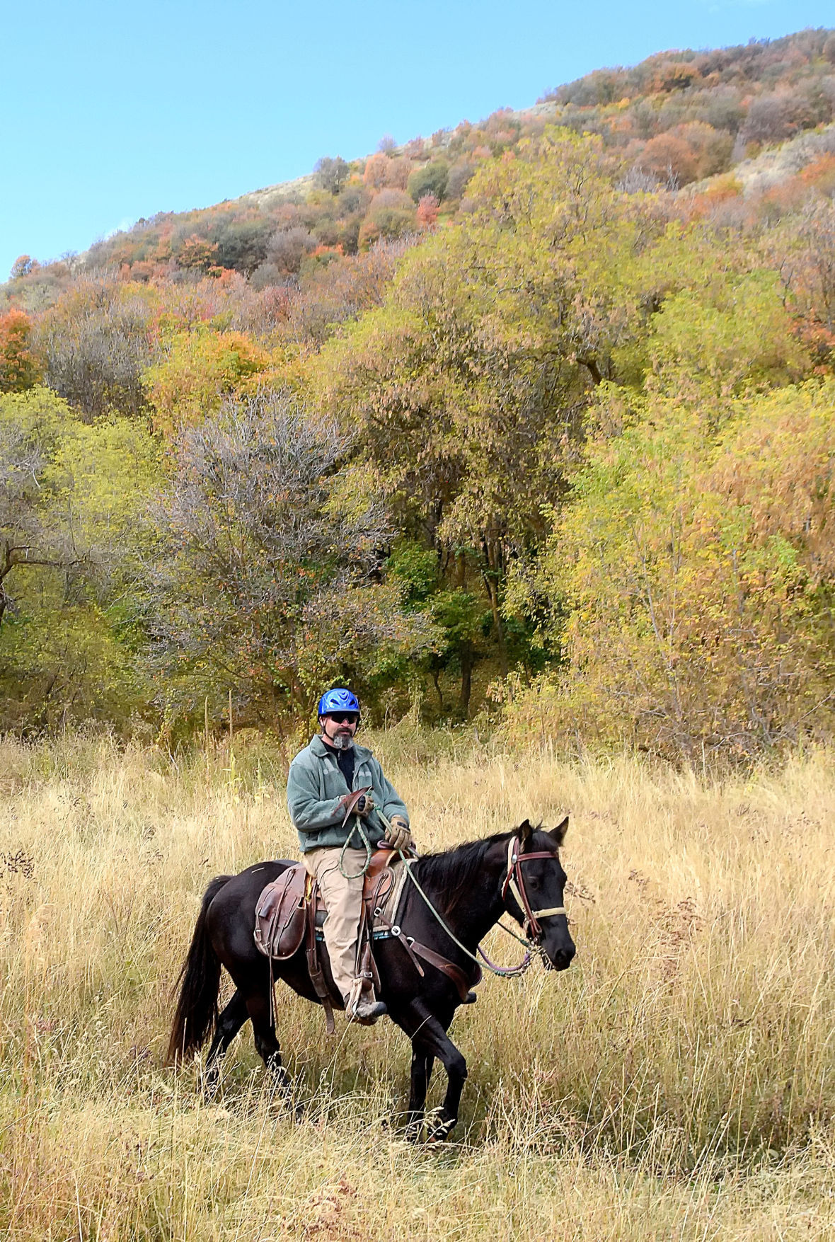 Far from the fray: Veterans ride horses for therapeutic benefits | The ...