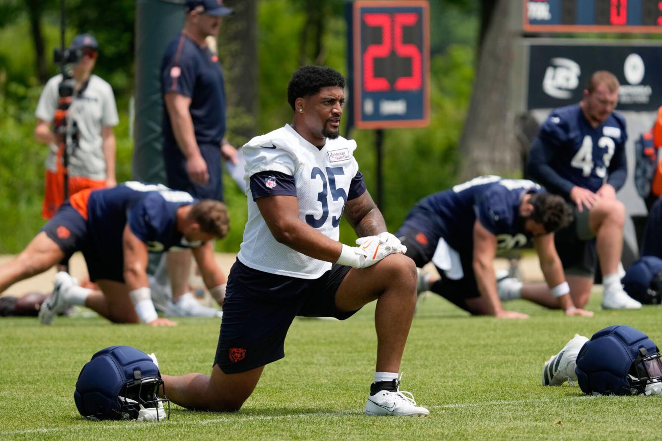 Bears Football | National Sports | hjnews.com