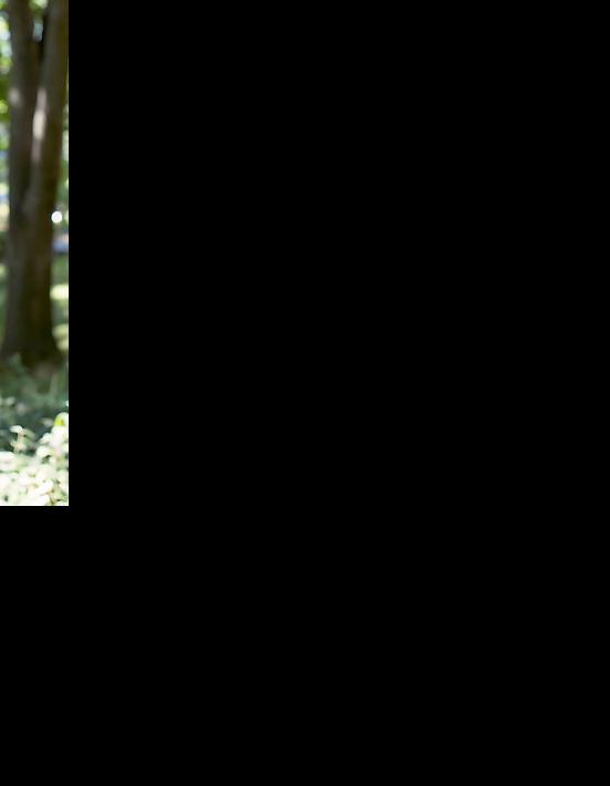 Author discusses social media, women's self-esteem at USU event ...