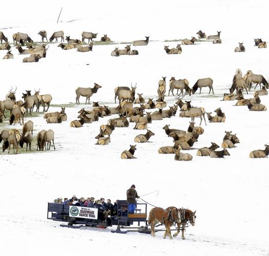 Winterfest activities kick off | News | hjnews.com