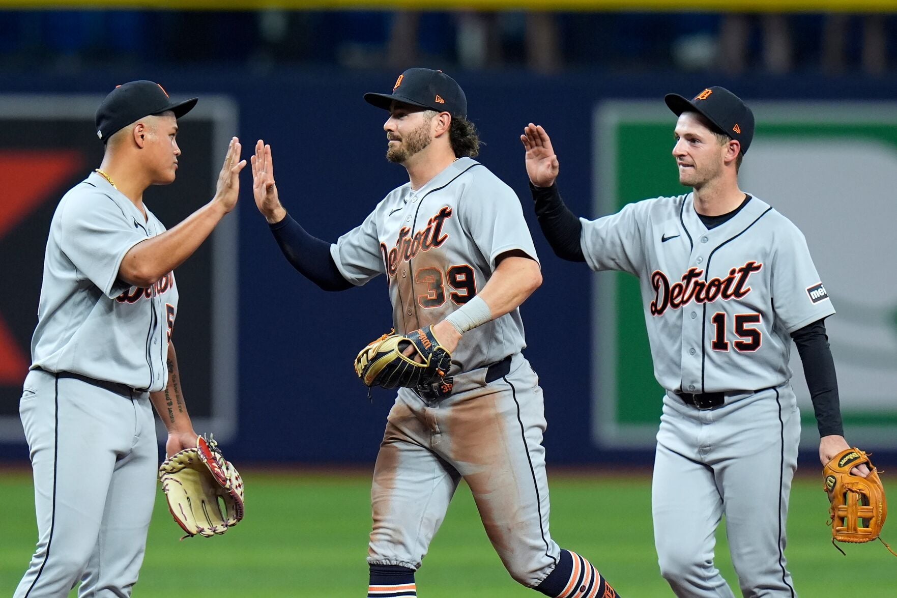 Tigers Rays Baseball | National Sports | hjnews.com