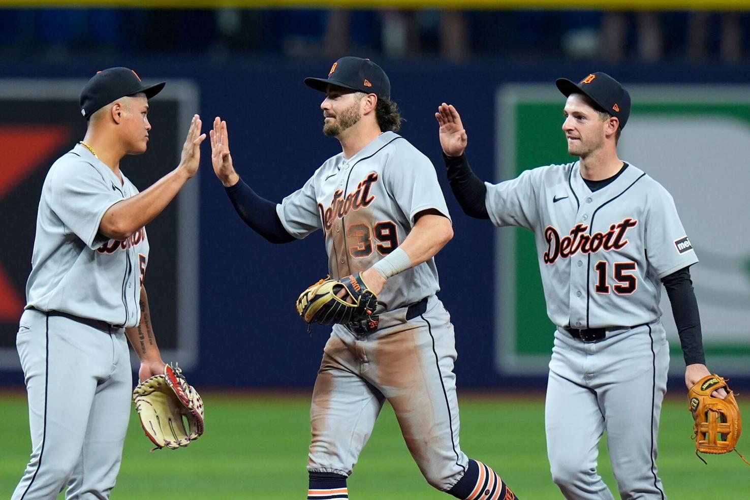 Tigers Rays Baseball | National Sports | hjnews.com
