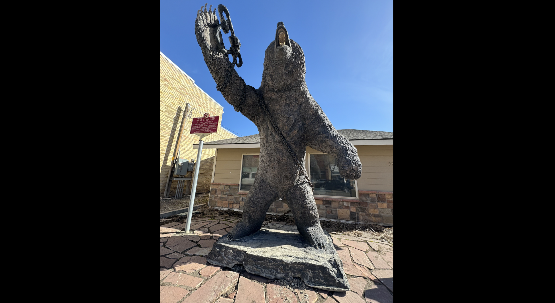 Statue of legendary grizzly Old Ephraim relocated in Montpelier | News ...