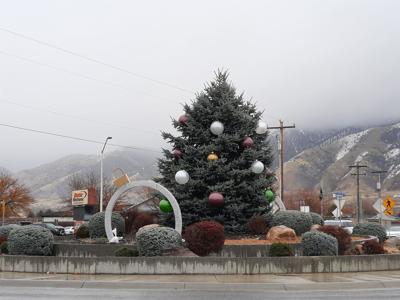 Providence Christmas tree lighting to benefit local charities | News ...