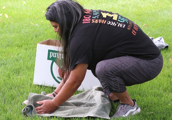 The saga of Stephen Squawking: Chance encounter at Shuman Park spawns ...