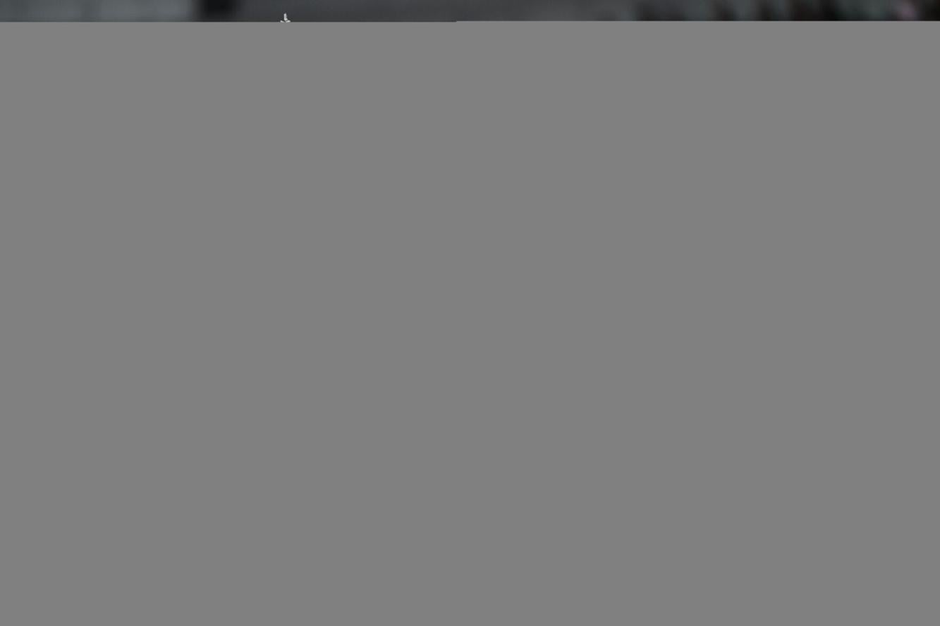 Czech Republic Athletics | National Sports | hjnews.com
