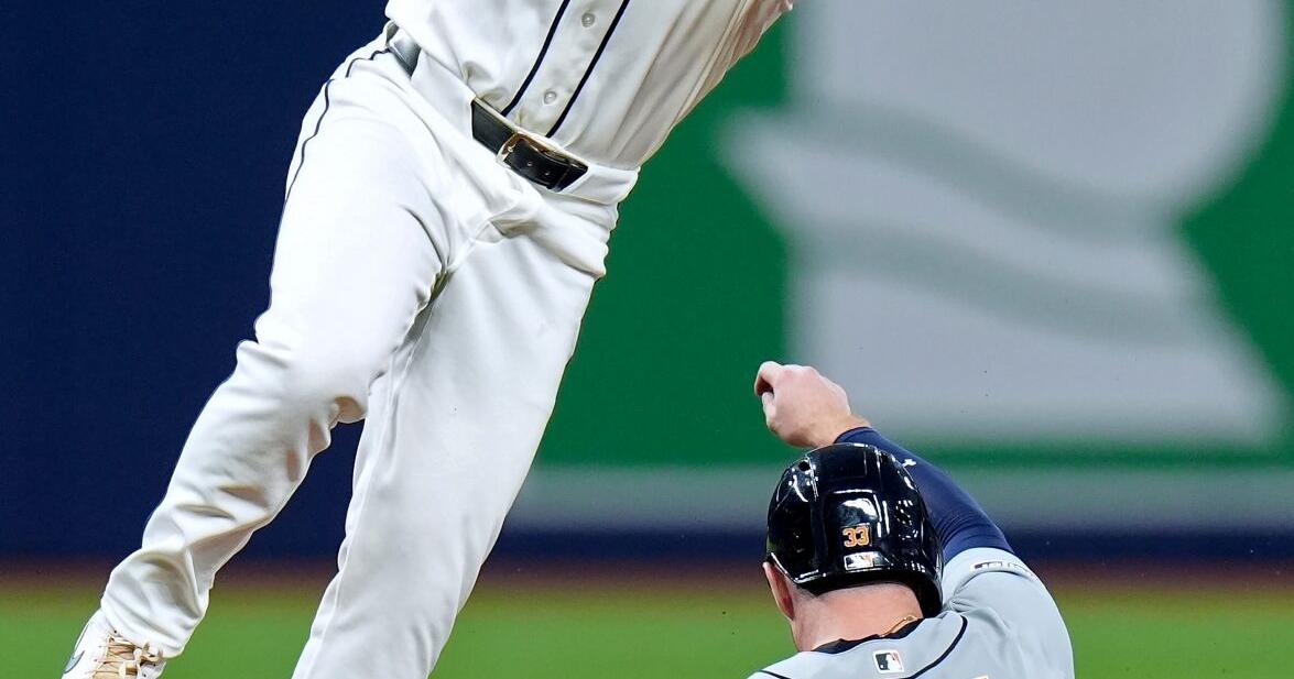Tigers Rays Baseball | National Sports | hjnews.com