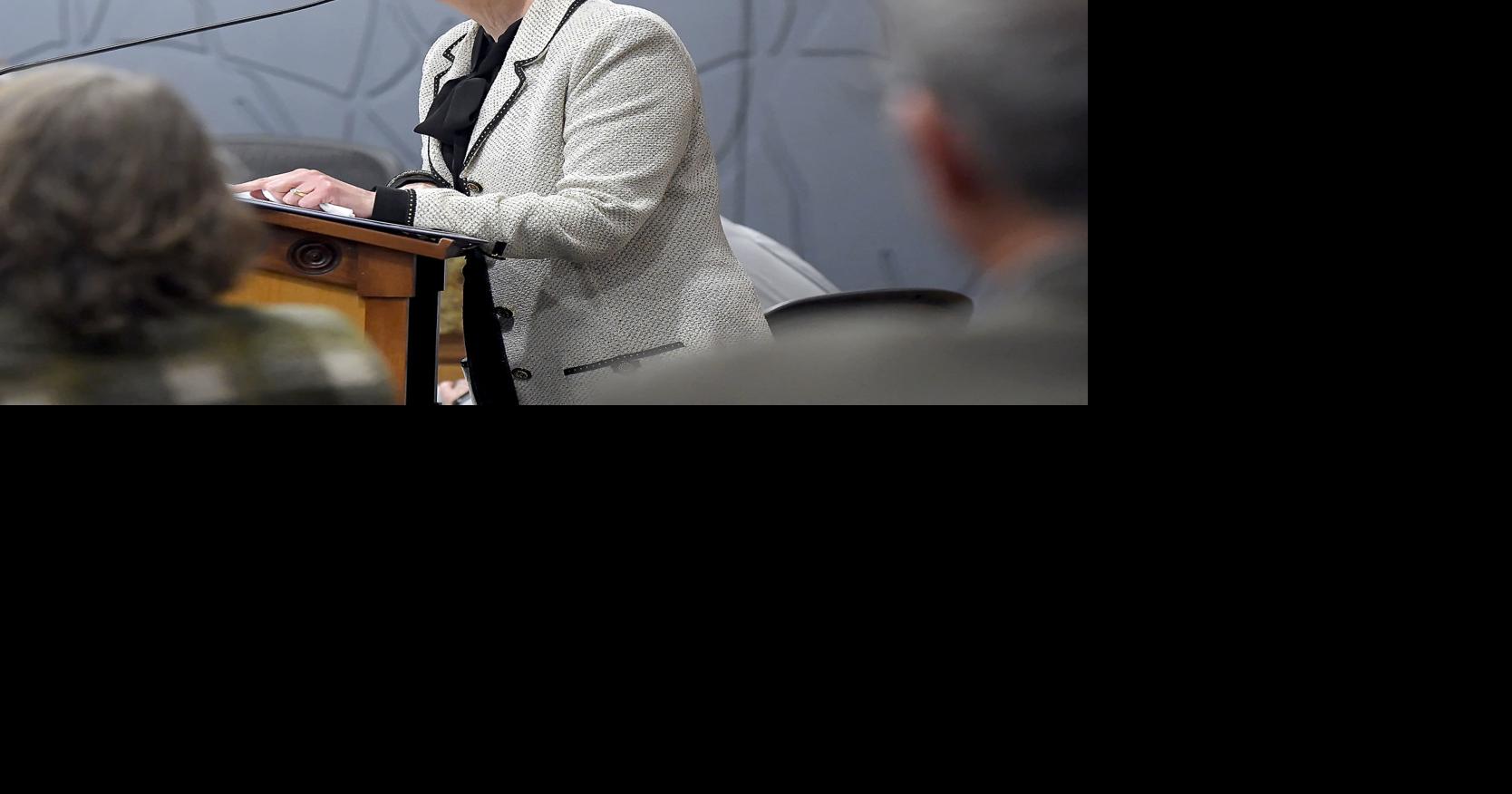 Logan's Mayor Daines highlights successes, goals in State of the City ...