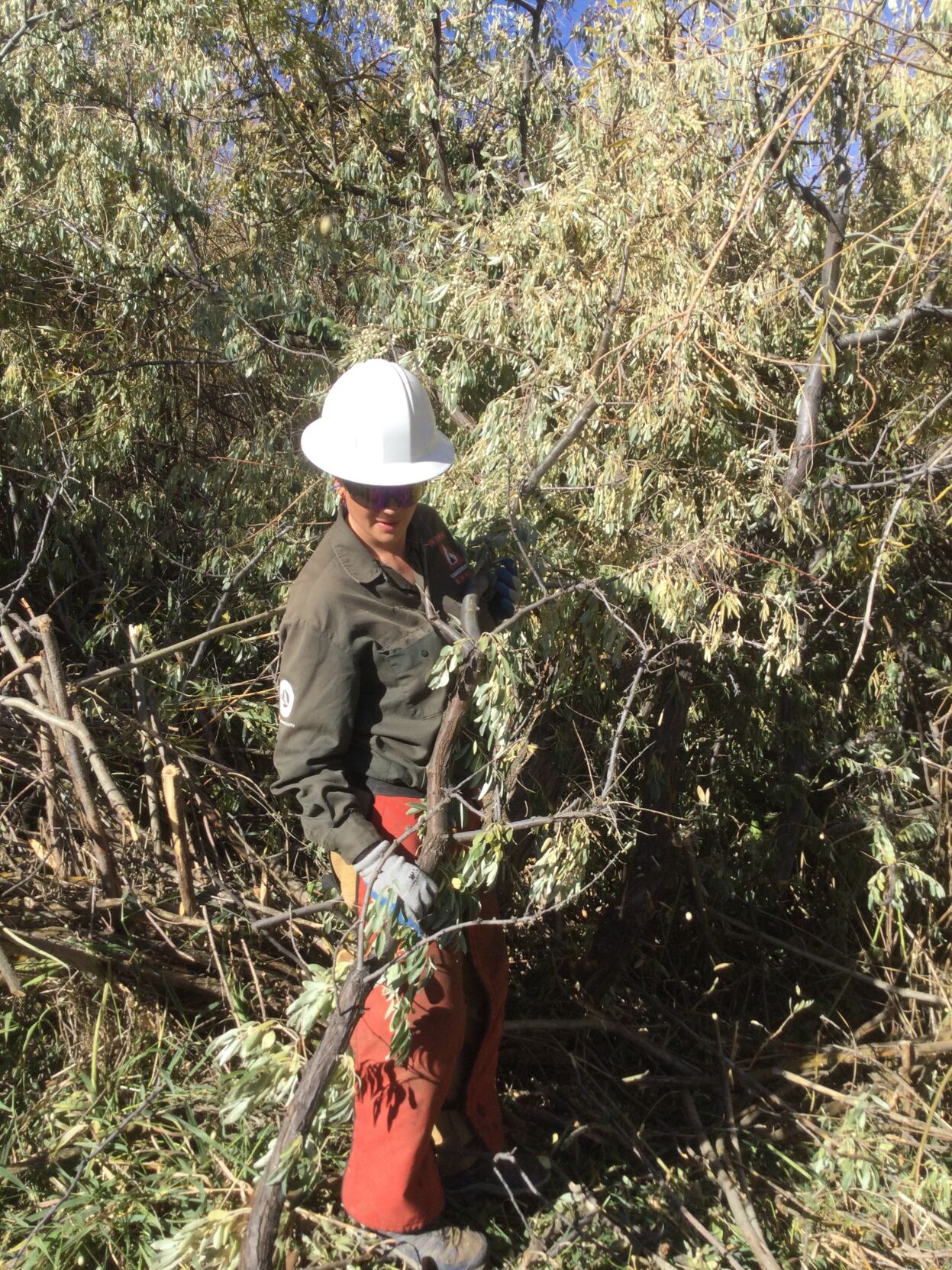 Utah Conservation Corps to be awarded Project of the Year | Local News ...