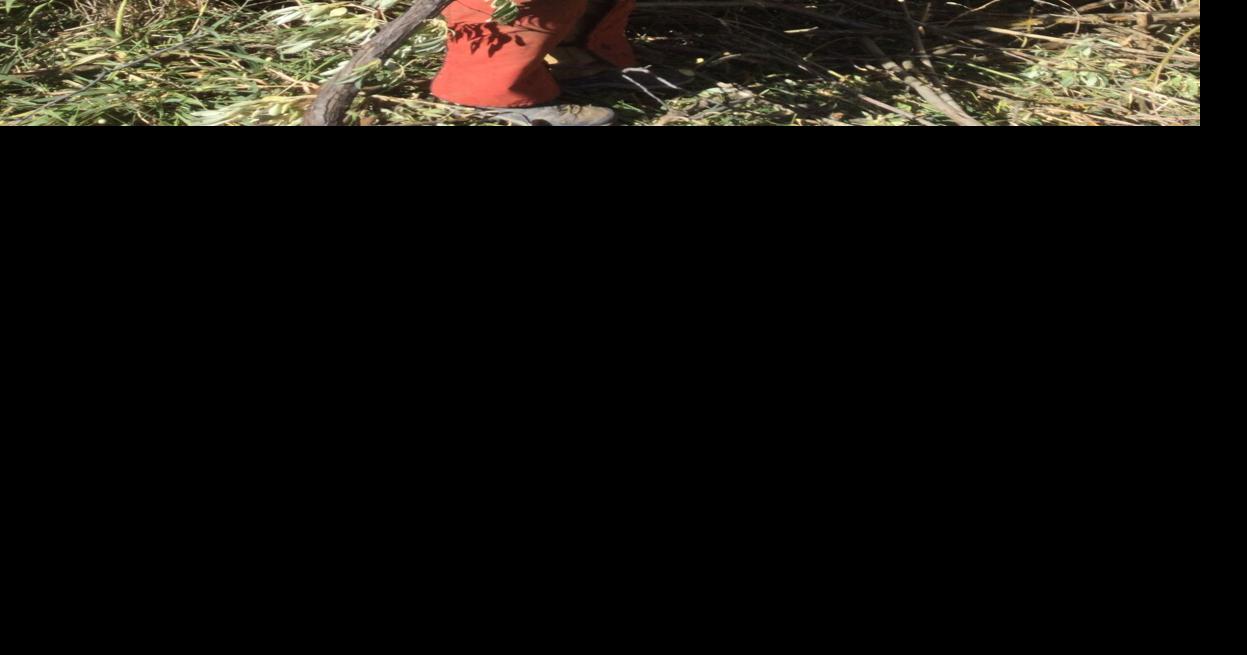 Utah Conservation Corps to be awarded Project of the Year | Local News ...