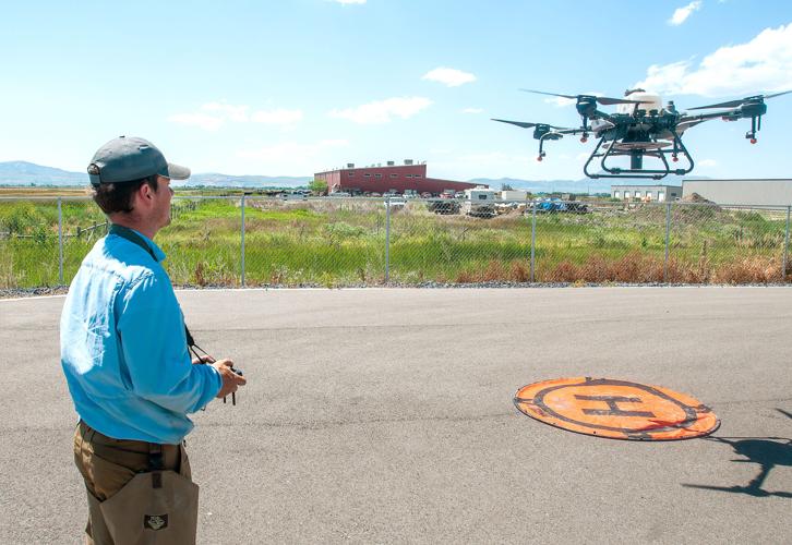 Cache Valley mosquito populations peak after wet winter | Local News ...