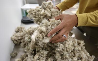 Utah hosts nation's only commercial wool testing lab | State News ...